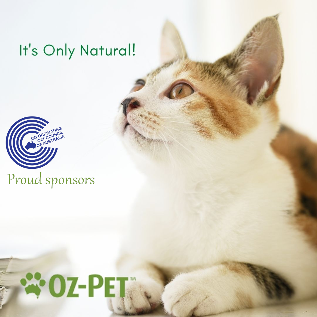 CCCA National Show 2023 – Cats Qld